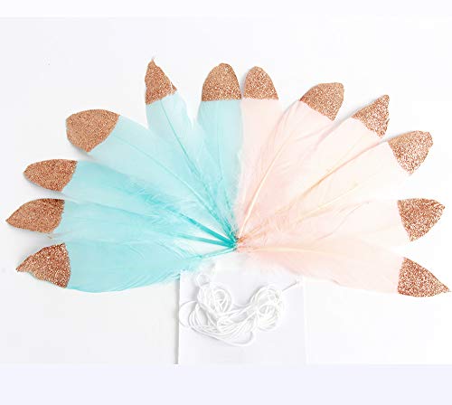 Hapy Shop Feather Garland Pale Pink and Blue Feather Banner,Gold Glitter for Party Decorations,Wedding,Boho Chic,10 feet