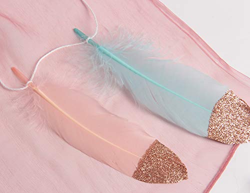 Hapy Shop Feather Garland Pale Pink and Blue Feather Banner,Gold Glitter for Party Decorations,Wedding,Boho Chic,10 feet