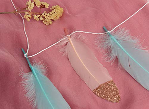 Hapy Shop Feather Garland Pale Pink and Blue Feather Banner,Gold Glitter for Party Decorations,Wedding,Boho Chic,10 feet