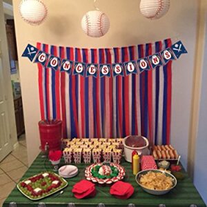 Baseball CONCESSIONS Birthday Banner, Baby Shower Sports Themed Pennant Decoration