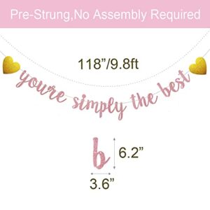 You're Simply the Best Banner, Pre-Strung, No Assembly Required, Rose Gold Glitter Paper Party Decorations for Graduation Party Supplies, Letters Rose Gold,ABCpartyland