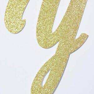 My First Fiesta Banner Sign Garland for Mexican Fiesta Themed Baby Shower First Birthday Party Decorations Photo Props Backdrop (Gold Glitter)