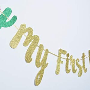 My First Fiesta Banner Sign Garland for Mexican Fiesta Themed Baby Shower First Birthday Party Decorations Photo Props Backdrop (Gold Glitter)