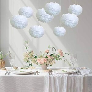 ANSOMO White Tissue Paper Pom Poms Flowers Party Decorations 12" 10" 8" 6" Pack of 12