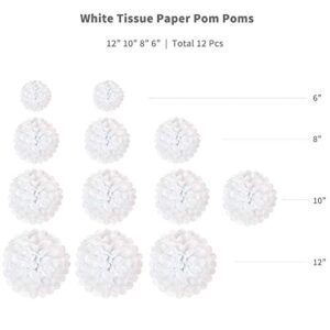 ANSOMO White Tissue Paper Pom Poms Flowers Party Decorations 12" 10" 8" 6" Pack of 12