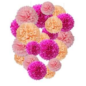 pink paper pom poms,10″,12″ tissue pom poms for bachelorette baby shower girl party hanging decorations – 12 pcs