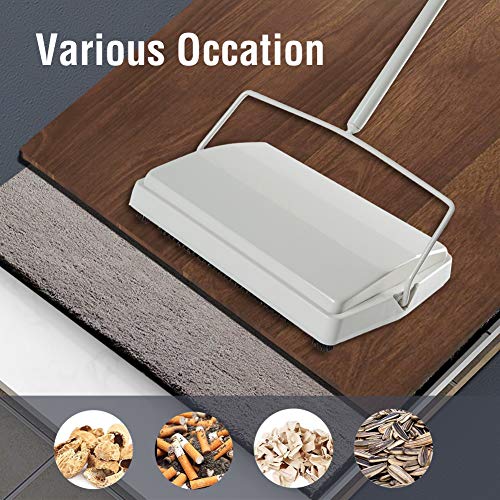 JEHONN Carpet Floor Sweeper with Horsehair, Self Wringing Mop with 2 Washable Heads