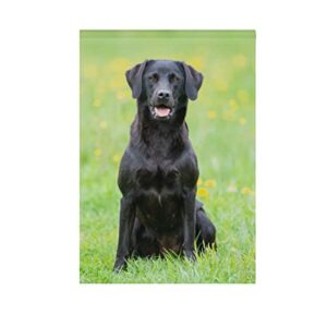 hokkien black labrador retriever dog garden flag double sided 12 x 18 inch, yard flags, decorative small garden flags, outdoor lawn and garden décor