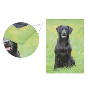 Hokkien Black Labrador Retriever Dog Garden Flag Double Sided 12 x 18 Inch, Yard Flags, Decorative Small Garden Flags, Outdoor Lawn and Garden Décor