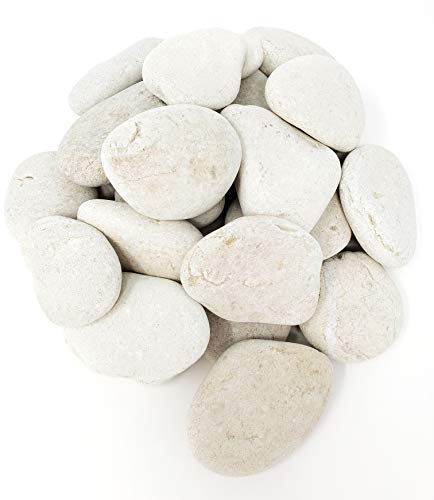 Garden Rocks (White) - Landscaping Rocks For Garden And Landscape Design - 5 Pounds (About 25 Rocks)