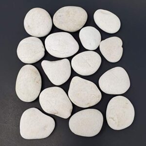 Garden Rocks (White) - Landscaping Rocks For Garden And Landscape Design - 5 Pounds (About 25 Rocks)