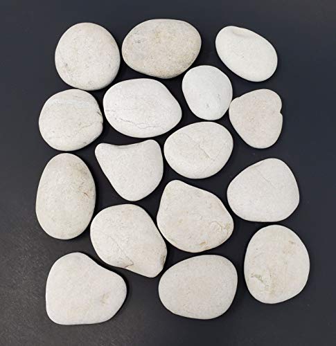 Garden Rocks (White) - Landscaping Rocks For Garden And Landscape Design - 5 Pounds (About 25 Rocks)