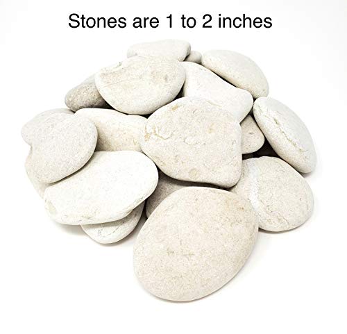 Garden Rocks (White) - Landscaping Rocks For Garden And Landscape Design - 5 Pounds (About 25 Rocks)