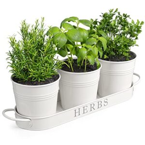 barnyard designs farmhouse herb garden planter indoor planter set with tray or outdoor apartment window planter box, windowsill planter box, indoor herb planter garden pots herb pots, white, set/3