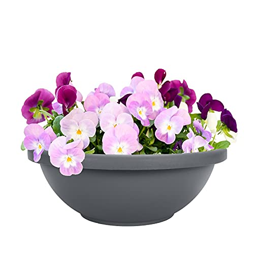 The HC Companies 12 Inch Garden Bowl Planter - Shallow Plant Pot with Drainage Plug for Indoor Outdoor Flowers, Herbs, Warm Gray