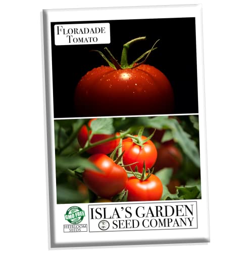 Floradade Tomato Seeds for Planting, 300+ Heirloom Seeds Per Packet, (Isla's Garden Seeds), Non GMO Seeds, Botanical Name: Solanum lycopersicum, Great Home Garden Gift