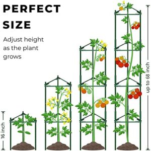 K-Brands Tomato Cage - Premium Tomatoes Plant Stakes Support Cages Trellis for Garden and Pots (3 Pack - Extra Tall Upto 68 inches)