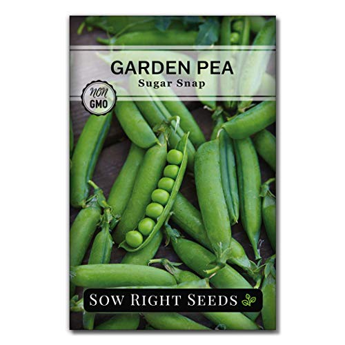 Sow Right Seeds - Sugar Snap Pea Seed for Planting - Non-GMO Heirloom Packet with Instructions to Plant a Home Vegetable Garden