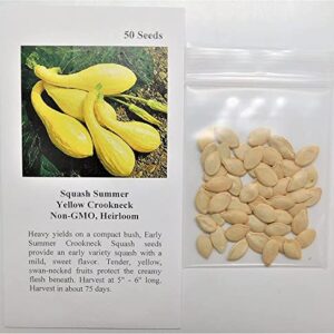 David's Garden Seeds Squash Summer Yellow Crookneck FBA-00012 (Yellow) 50 Non-GMO, Heirloom Seeds