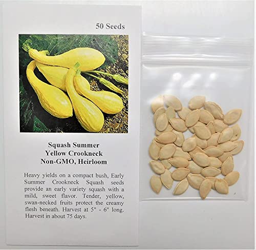 David's Garden Seeds Squash Summer Yellow Crookneck FBA-00012 (Yellow) 50 Non-GMO, Heirloom Seeds