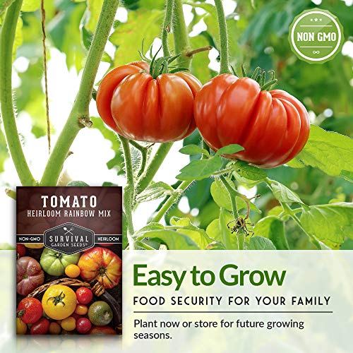 Survival Garden Seeds - Heirloom Rainbow Mix Tomato Seed for Planting - Packet with Instructions to Plant and Grow in Your Home Vegetable Garden - Non-GMO Heirloom Variety - 2 Packs