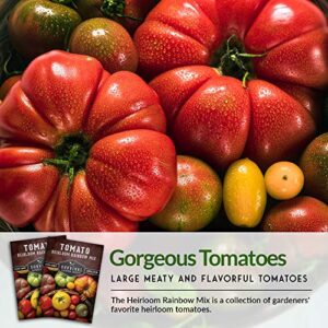 Survival Garden Seeds - Heirloom Rainbow Mix Tomato Seed for Planting - Packet with Instructions to Plant and Grow in Your Home Vegetable Garden - Non-GMO Heirloom Variety - 2 Packs