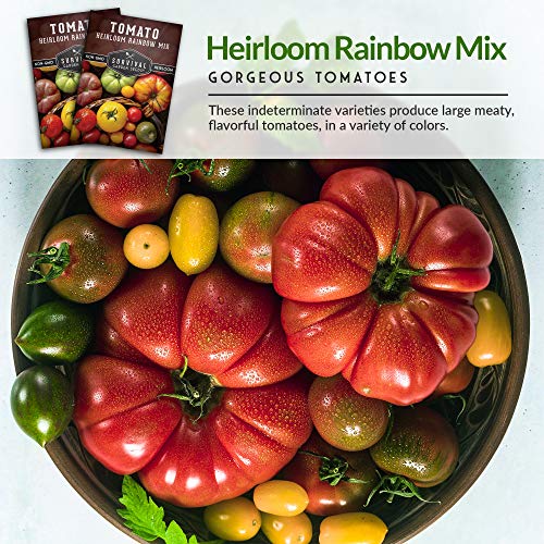 Survival Garden Seeds - Heirloom Rainbow Mix Tomato Seed for Planting - Packet with Instructions to Plant and Grow in Your Home Vegetable Garden - Non-GMO Heirloom Variety - 2 Packs