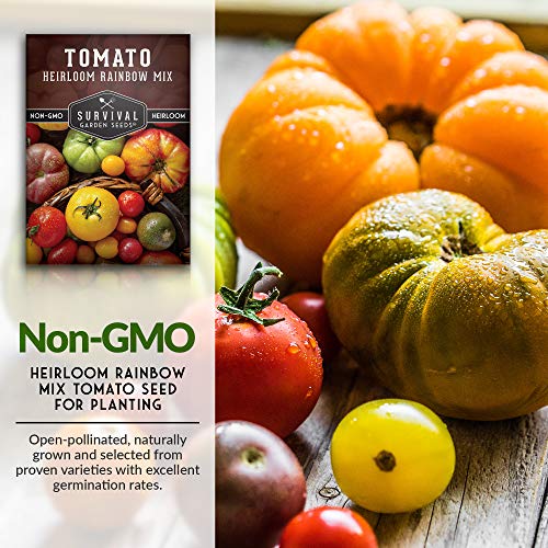 Survival Garden Seeds - Heirloom Rainbow Mix Tomato Seed for Planting - Packet with Instructions to Plant and Grow in Your Home Vegetable Garden - Non-GMO Heirloom Variety - 2 Packs