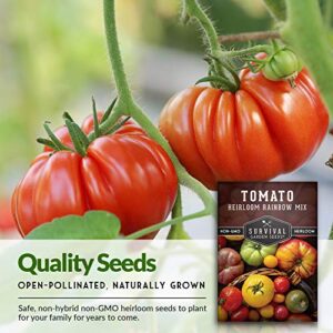 Survival Garden Seeds - Heirloom Rainbow Mix Tomato Seed for Planting - Packet with Instructions to Plant and Grow in Your Home Vegetable Garden - Non-GMO Heirloom Variety - 2 Packs