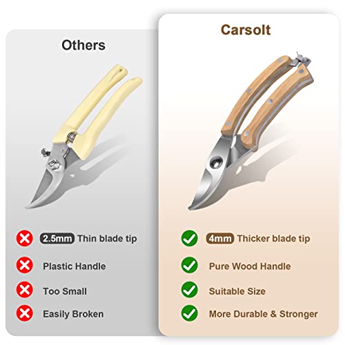 Carsolt Garden Tool Set - 7 Piece Stainless Steel Heavy Duty Wooden Handle Gardening Tools, Gardening Kit for Digging Planting Pruning with Durable Tote Bag Gift Box Ideal Garden Gifts for Women Men