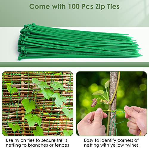 PACETAP 2PCS 6x16.4Ft Trellis Netting for Outdoor Climbing Plants, Garden Plant Trellis Netting with 100PCS Zip Ties for Cucumber, Tomato, Vine, Vegetable Fruit and Flowers