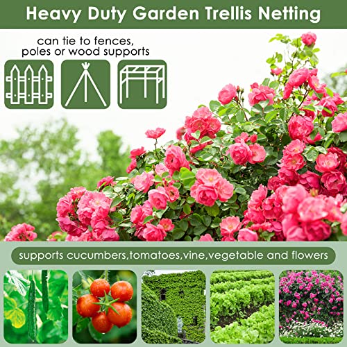 PACETAP 2PCS 6x16.4Ft Trellis Netting for Outdoor Climbing Plants, Garden Plant Trellis Netting with 100PCS Zip Ties for Cucumber, Tomato, Vine, Vegetable Fruit and Flowers