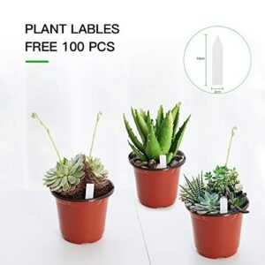 JERIA 100-Pack 6 Inch Plastic Plant Nursery Pots Come with 100 Pcs Plant Labels, Seedling Flower Plant Container and Seed Starting Pots