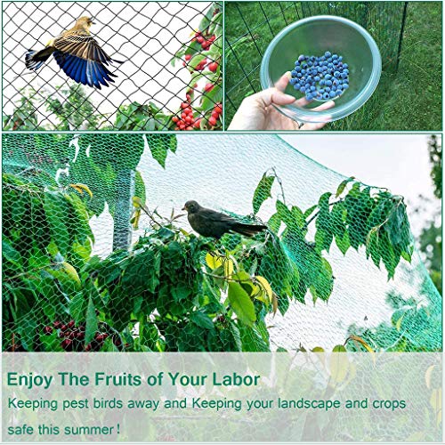 Bird Netting for Garden,13x20Ft Garden Netting,Fruit Tree Netting Doesn't Tangle and Reusable Bird Mesh Protect Fruit Vegetables Plants from Birds Deer