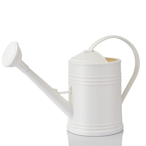 OKREK Watering Can Indoor Watering Cans for House Plants, Small Watering Can Indoor Plants, Plant Watering Can for Outdoor Plants Garden Flower (1/2 Gallon, White)