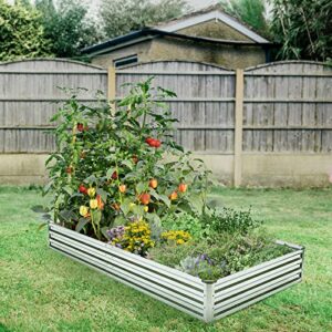 Veezyo Galvanized Raised Garden Bed Kit - Metal Raised Planter 2 Pack 6'x3'x1' for Flowers Plants, Vegetables Herb