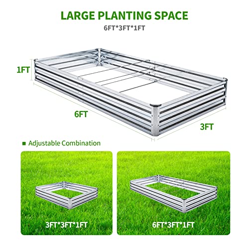 Veezyo Galvanized Raised Garden Bed Kit - Metal Raised Planter 2 Pack 6'x3'x1' for Flowers Plants, Vegetables Herb