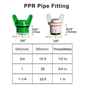 Feelers 3/4" PT Outer Hex Male Threaded PPR Pipe Plug End Cap Garden Hose Water Tubing Stopper Prevent Leakage Choke Fitting, Pack of 5, Green