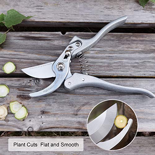 TONMA [Made in Japan] Pruning Shears 8 Inch Professional Bypass Garden Scissors Secateurs, Premium Quality Japanese Gardening Tools Plant Hand Pruner Garden Clippers with Ergonomic Handle