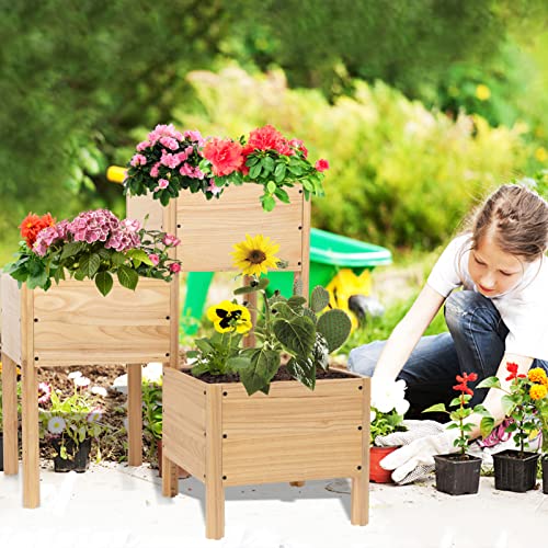 3 Tier Wooden Raised Garden Bed with Legs - Raised Planter Boxes Elevated Planter, Adjustable Mounting Structure for Indoors Outdoors Vegetable Flower Herb Growing Large Space Wood Planting Box