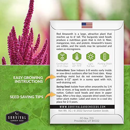 Survival Garden Seeds - Red Amaranth Seed for Planting - Packet with Instructions to Plant and Grow Giant Burgundy Grain Plants in Your Home Vegetable Garden - Non-GMO Heirloom Variety