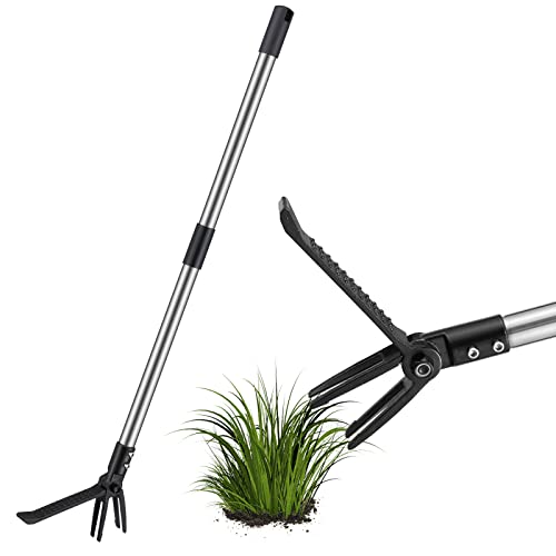 CALCHELE Garden Tool - 64" Stand Up Weed Puller Tool with Long Handle - Made with Stainless Steel & 4-Claw cast Steel Head Design - Easily Remove Weeds Without Bending, Pulling, or Kneeling