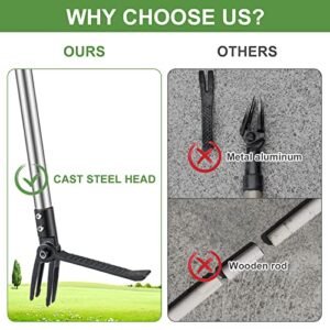 CALCHELE Garden Tool - 64" Stand Up Weed Puller Tool with Long Handle - Made with Stainless Steel & 4-Claw cast Steel Head Design - Easily Remove Weeds Without Bending, Pulling, or Kneeling