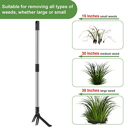 CALCHELE Garden Tool - 64" Stand Up Weed Puller Tool with Long Handle - Made with Stainless Steel & 4-Claw cast Steel Head Design - Easily Remove Weeds Without Bending, Pulling, or Kneeling