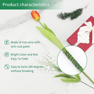 KINGLAKE GARDEN Green Flexible Paddle Wire,0.65 MM 328 Feet Green Florist Wire Floral Wire,Floral Bind Wire Floral Flexible Paddle Wire for DIY Craft, Holiday Decoration