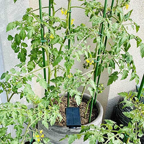 Garden Plant Stakes 36 Inch 3Ft Steel Plant Stick Support, Tomato Stakes for Growing Climbing Plants, Pack of 25