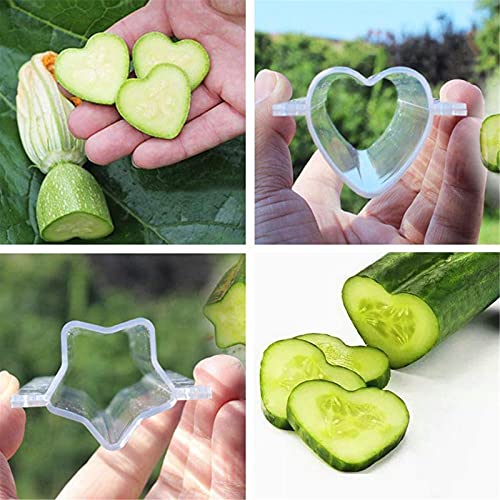 ASkinds 2PCS Cucumber Styling Growth Mold Plastic Heart Shaped Five-Pointed Star Transparent Garden Fruit Vegetable Growing Molds(Star+Heart)