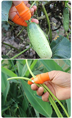 Fruit and Vegetable Picking Potted Plants Trim Silicone Thumb Knife Set Picking Portable Knife Garden Tools (2)