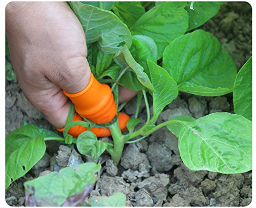 Fruit and Vegetable Picking Potted Plants Trim Silicone Thumb Knife Set Picking Portable Knife Garden Tools (2)