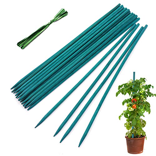 Garden Wood Plant Stakes Green Bamboo Sticks,HAINANSTRY Sturdy Floral Plant Support Stakes Wooden,Wooden Sign Posting Garden Sticks(25 Pack 18 Inches)